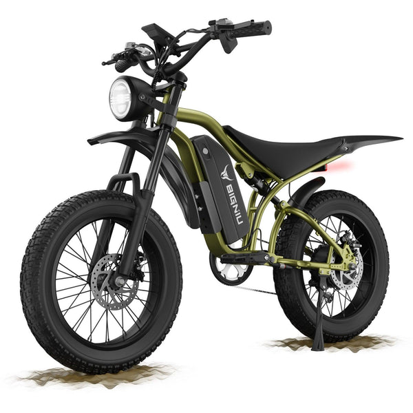 Ebike – BIGNIUBIKE