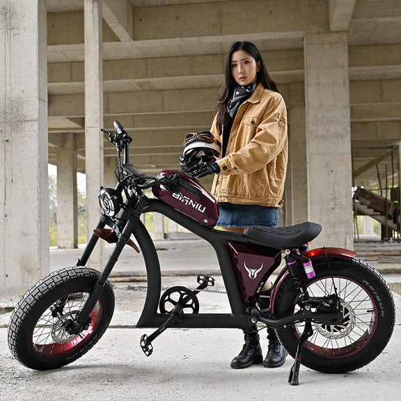 BIGNIU BG-X Electric Bike for Adults, 1500W Brushless Motor 48V/31.5Ah – BIGNIUBIKE