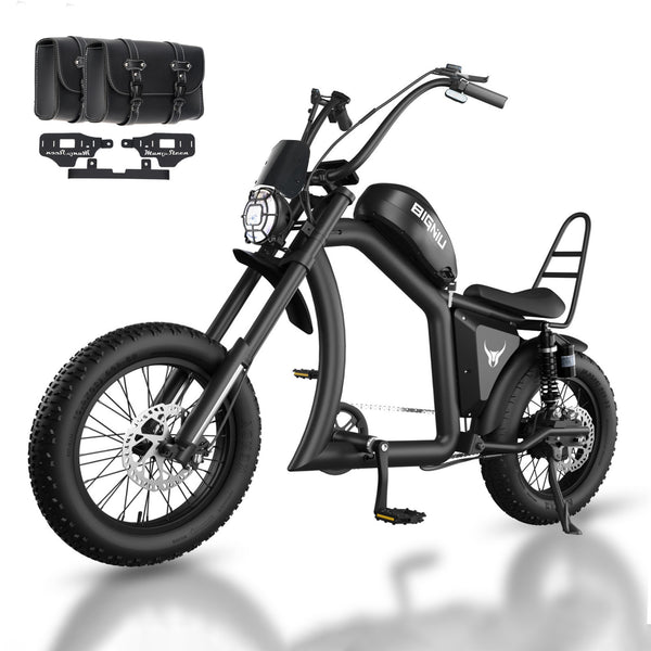 Ebike – BIGNIUBIKE